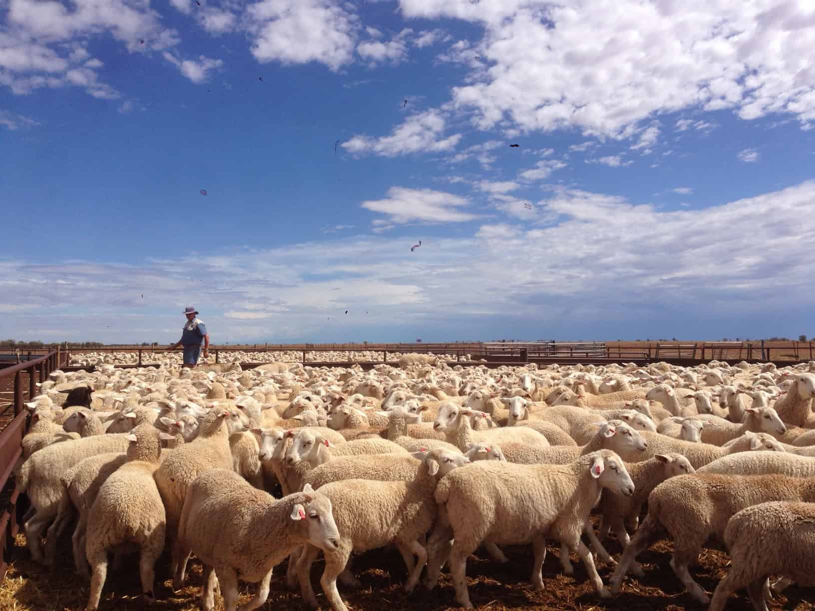 The Art To Building Your Visual Assets – Rural Industry & Agribusiness ...